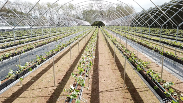 Substrate Trough System - tunneltech.ca