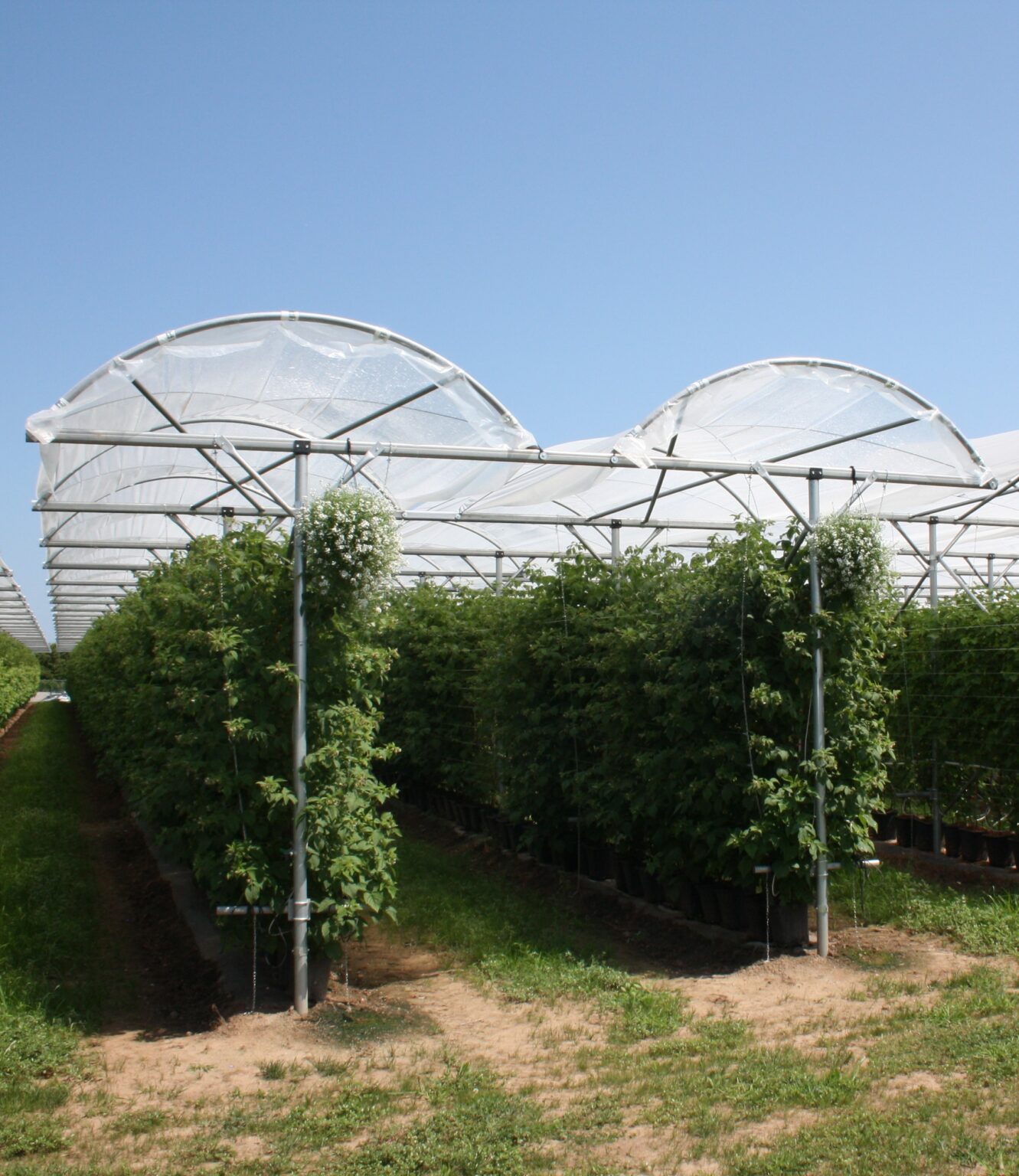 Umbrella Tunnel - tunneltech.ca