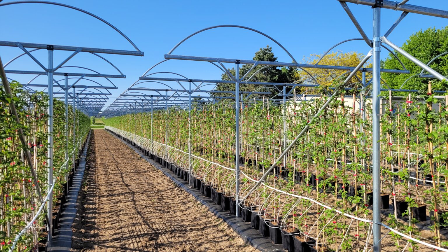 Umbrella Tunnel - tunneltech.ca