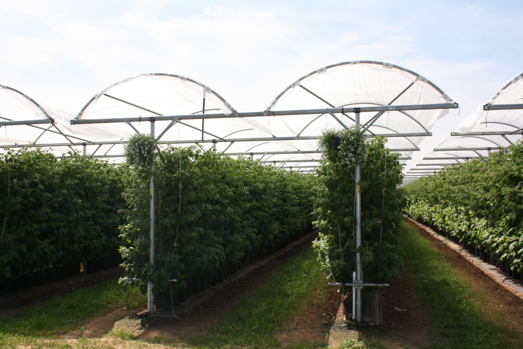 Umbrella Tunnel - tunneltech.ca